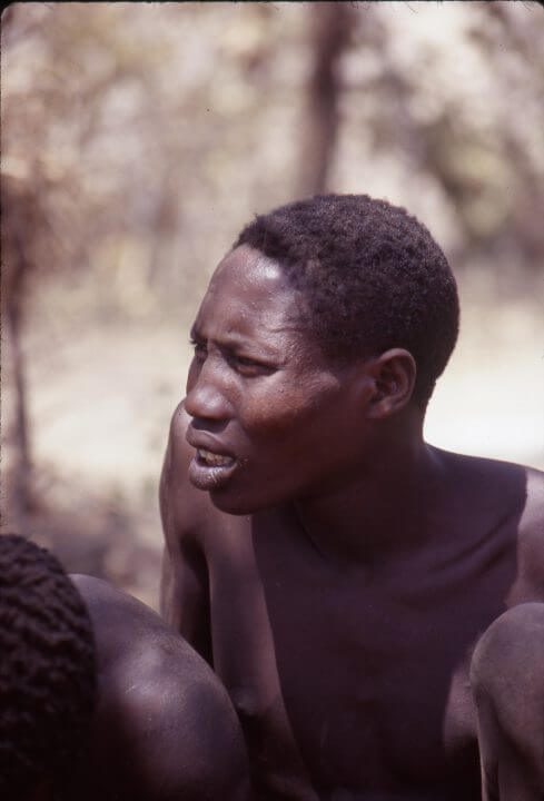 The Hadza – lessons we can learn from their way of life - Alamy Blog